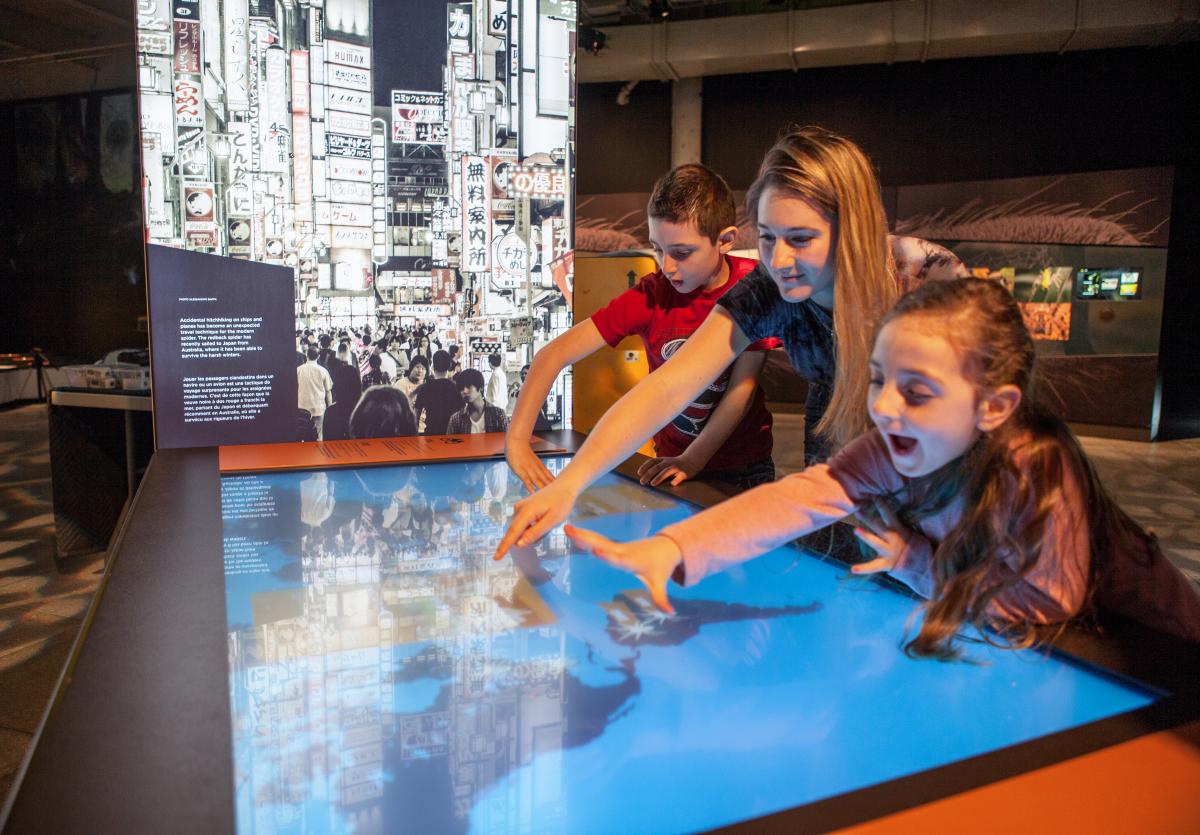 AN INTERACTIVE SPIDER EXHIBITION ARRIVES AT THE SCIENCE CENTRE | Old ...