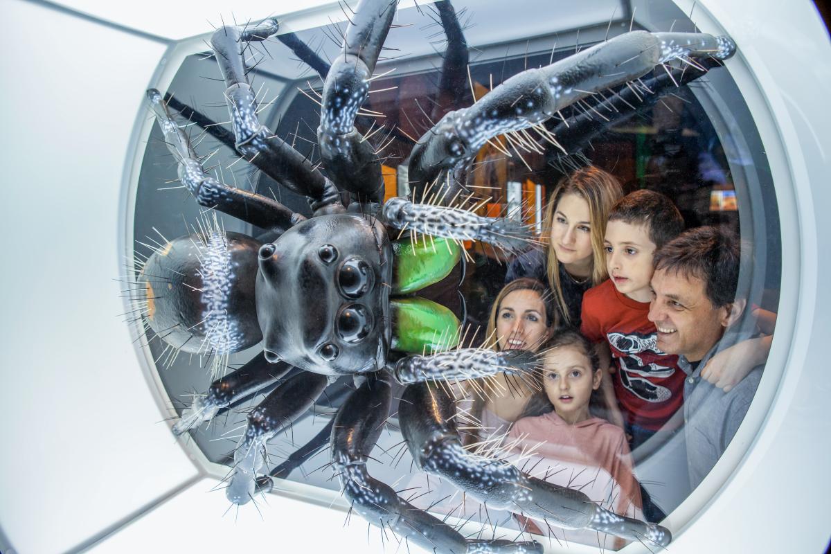 AN INTERACTIVE SPIDER EXHIBITION ARRIVES AT THE SCIENCE CENTRE | Old ...